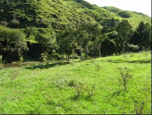 Land, Air, Water Aotearoa (LAWA) - Awakino River at SH3 Awakau Road ...
