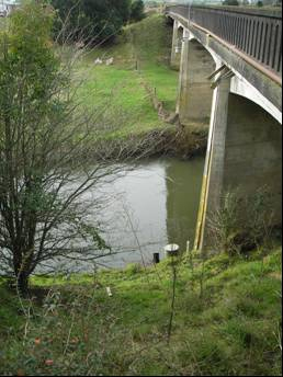 Land, Air, Water Aotearoa (LAWA) - Puniu River at Bartons Corner Rd Br
