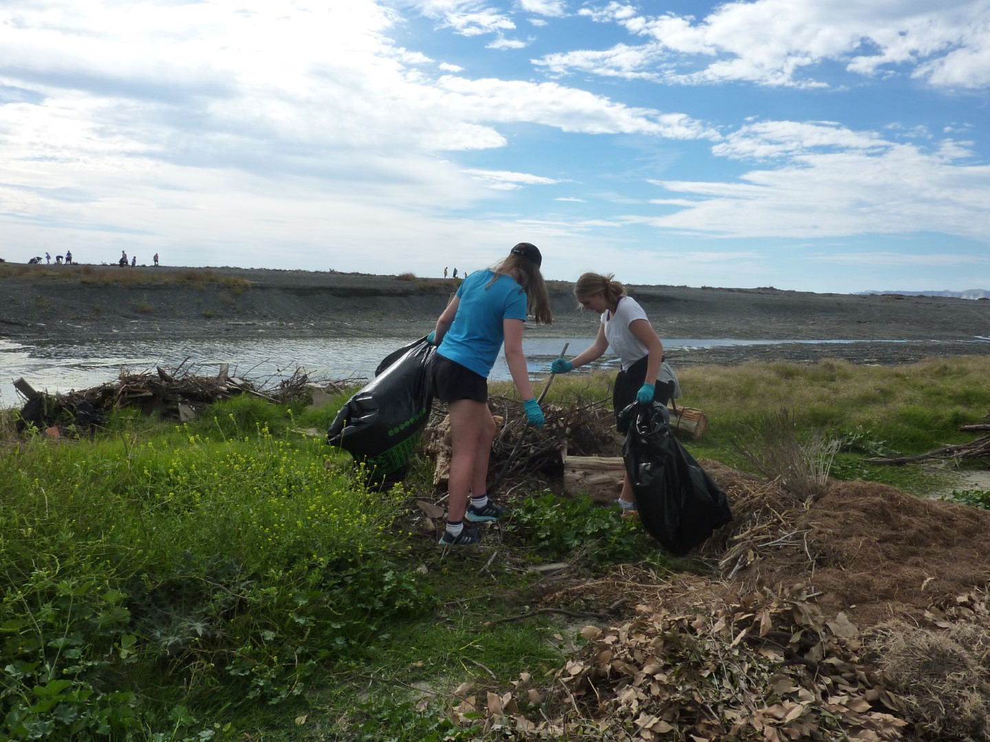 Land, Air, Water Aotearoa (LAWA)
