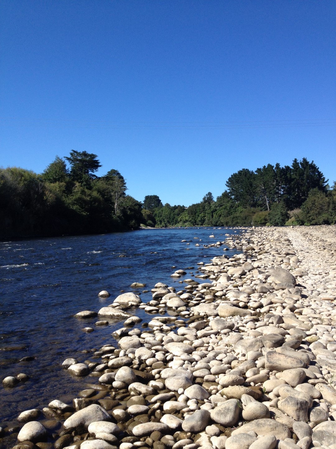 Land, Air, Water Aotearoa (LAWA) - Waitara River at Mamaku Road