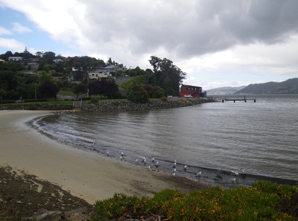 Land, Air, Water Aotearoa (LAWA) - Otago Harbour Macandrew Bay