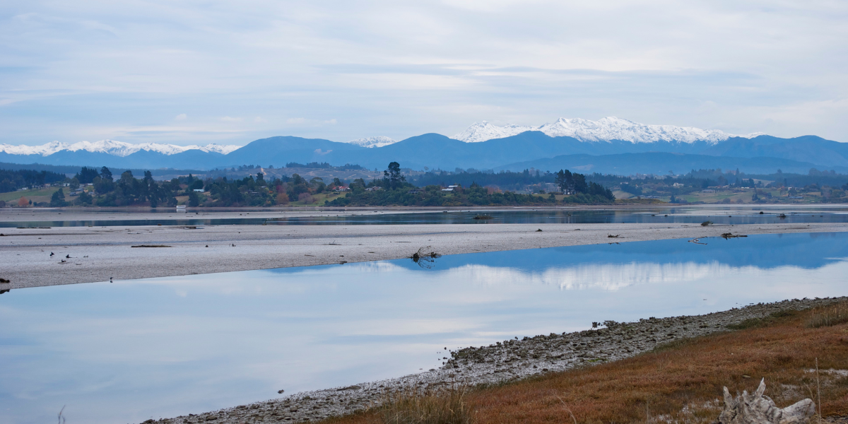 Land, Air, Water Aotearoa (LAWA) - Estuary Health