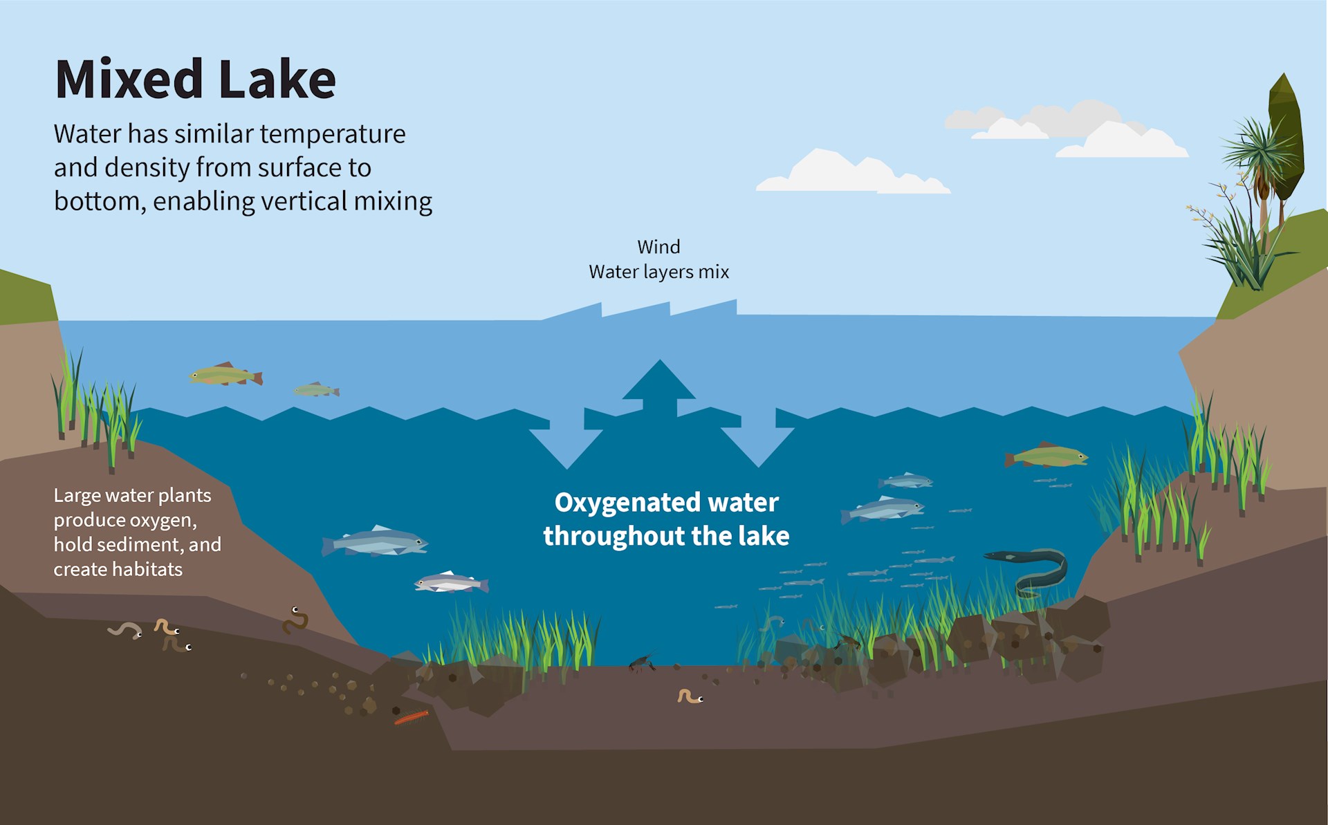 Land, Air, Water Aotearoa (LAWA) - Lakes in New Zealand