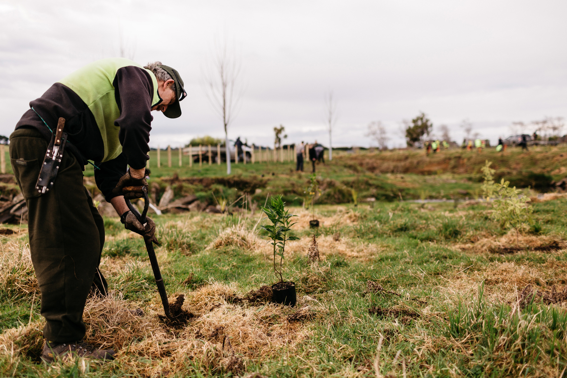 Land, Air, Water Aotearoa (LAWA) - Ambitious nationwide initiative to ...